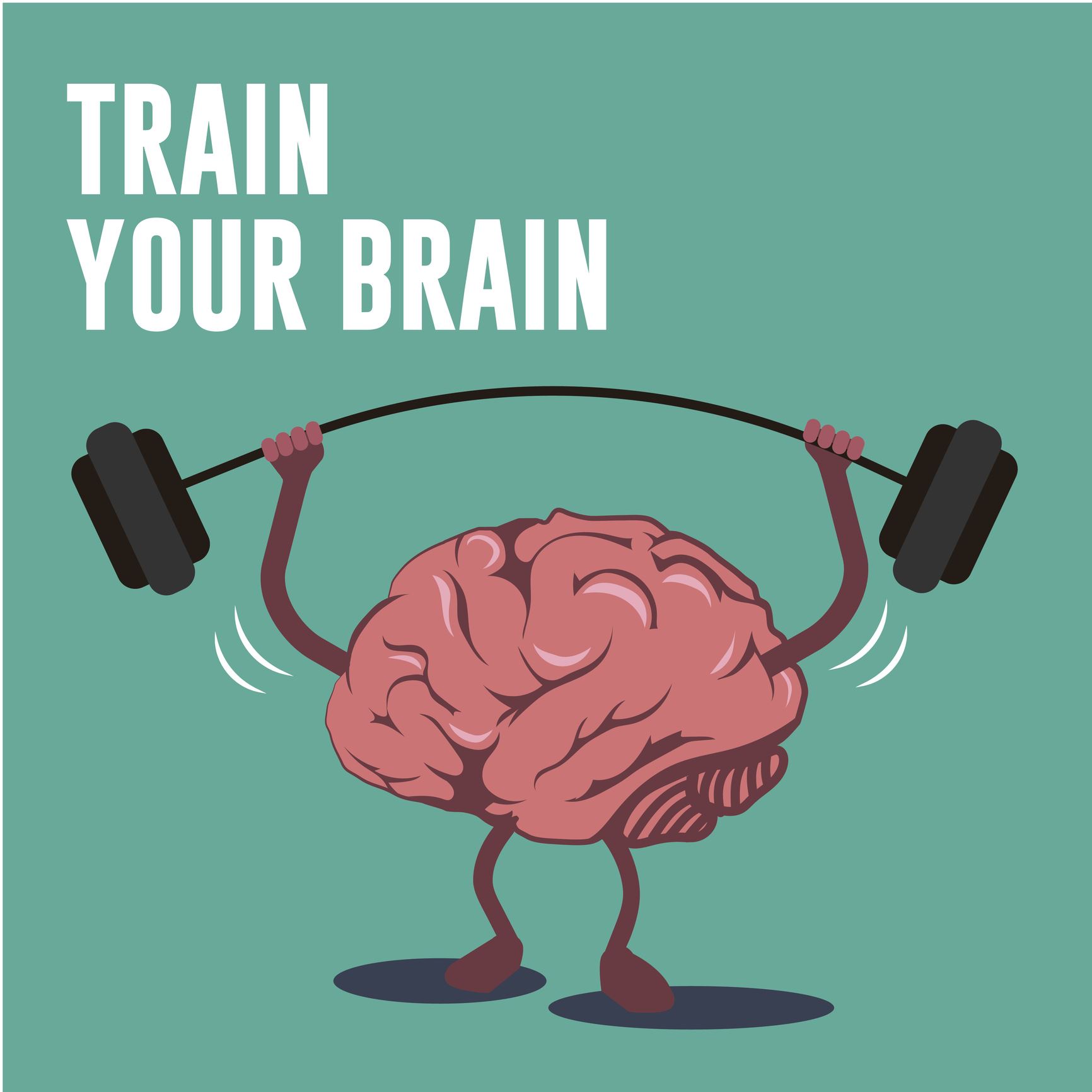 Brain Fitness Brain Fitness